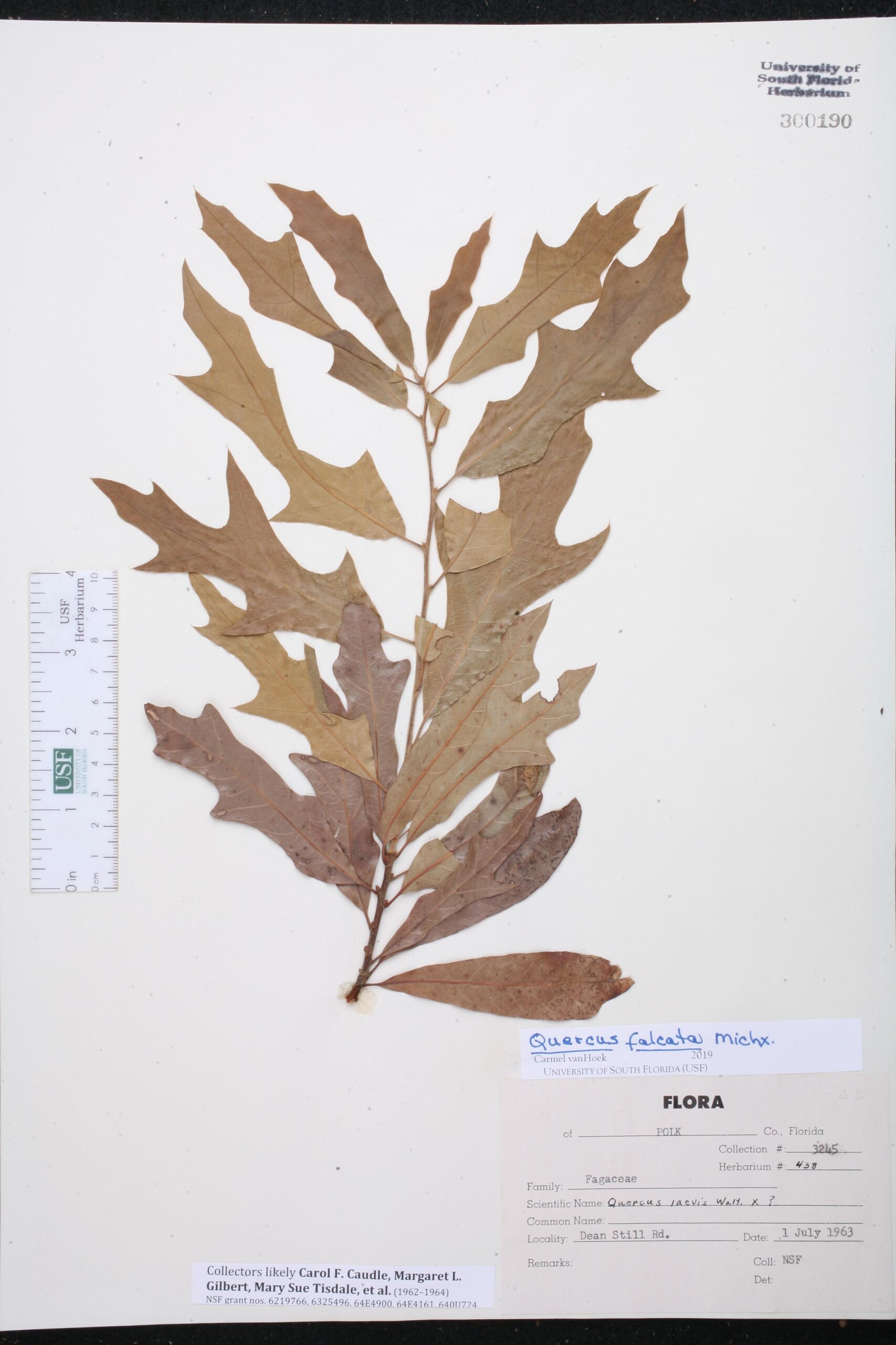 Blog - Three Psilos, Inc.